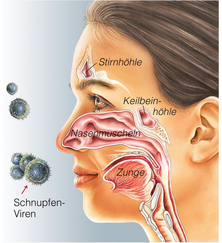 Rachenraum und Nasenschleimhaut - Pflege und Hygiene obere Atemwege